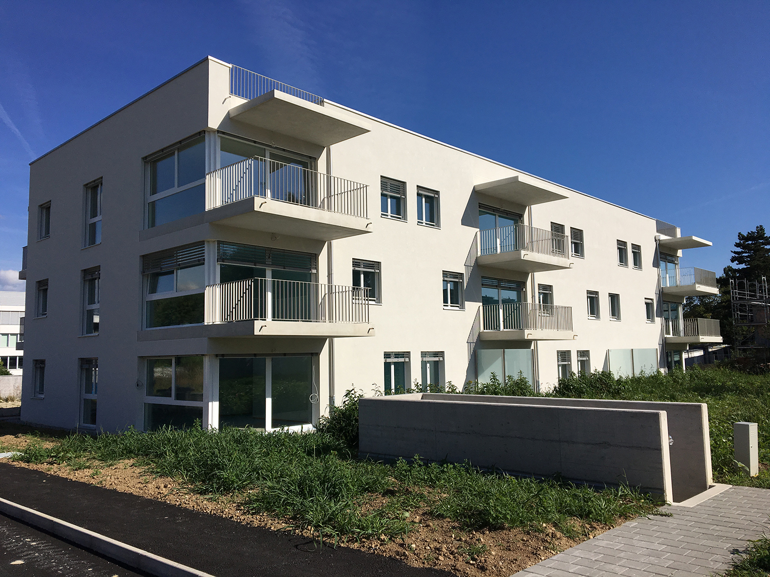 Le Jonc - René Mathez S.A.